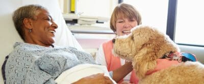Animal-assisted therapy (AAT) and emotional support animals | therapist.com